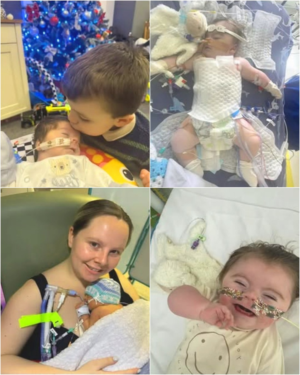 A Miracle Of Courage: How Baby Alex Taught The World The Meaning Of ...